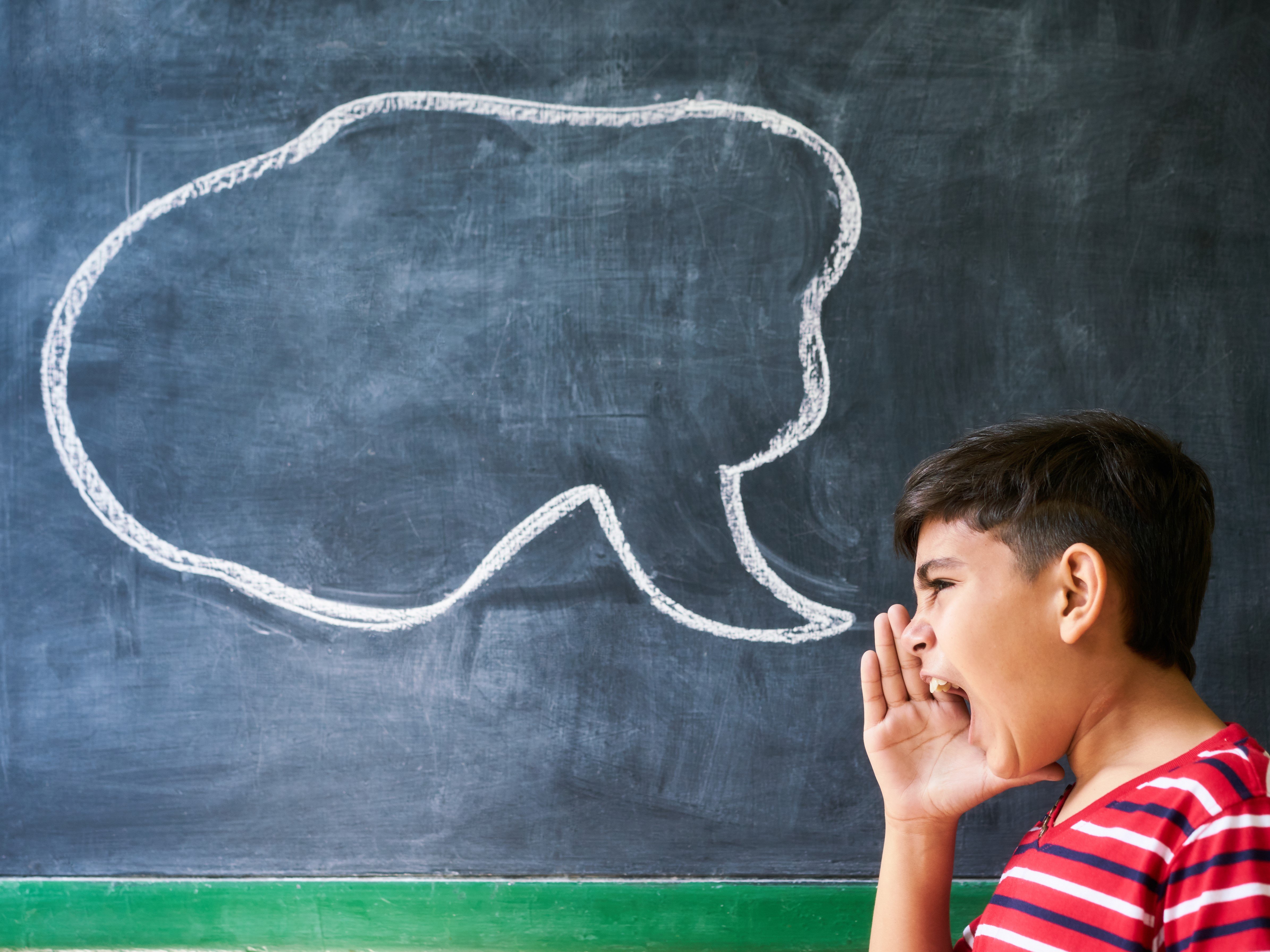 Twilight CPD: The Power of Pupil Voice (primary)