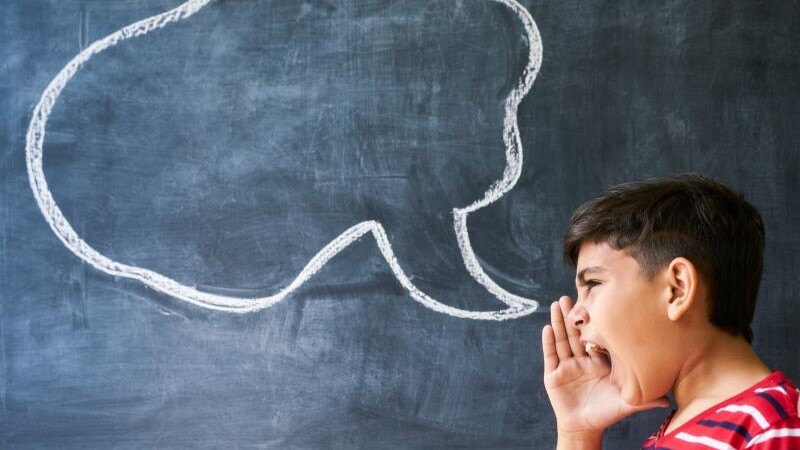 The power of pupil voice – primary